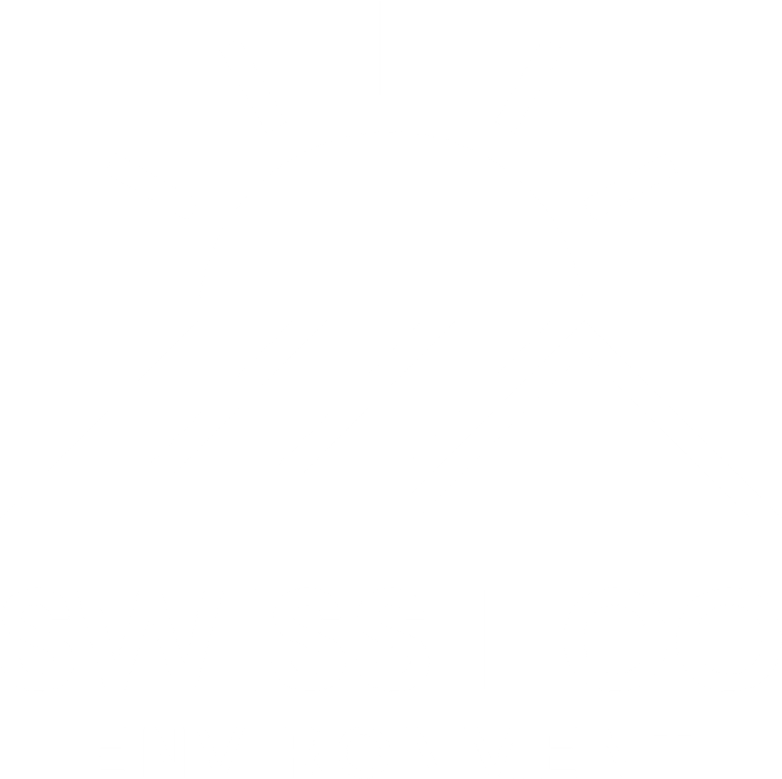 Support technique - Swiss Eco Environment